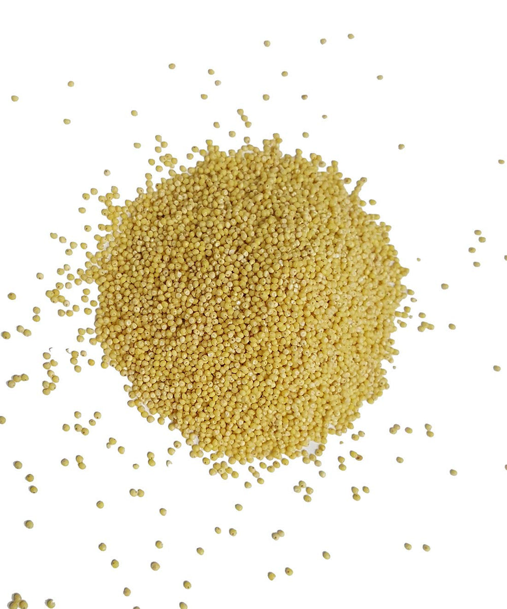 SDPMart Premium Little (Saamai/Kutki) Millet - 1. 5 Lbs – SDPMart Atlanta